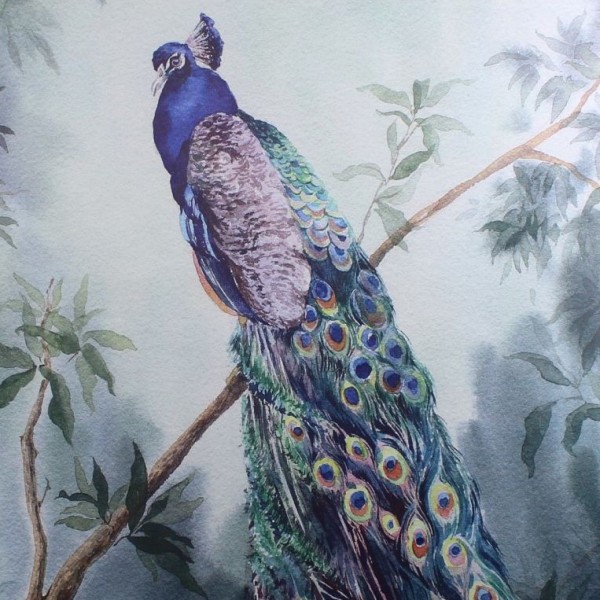 Peacock Wall Hanging Yorkshire, UK | United Furnishings